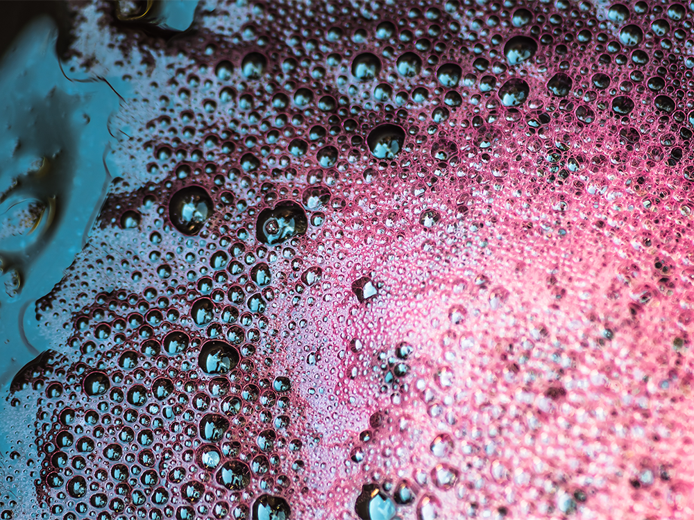 3 Reasons to Try Fermented Skin-Care Products - NewBeauty