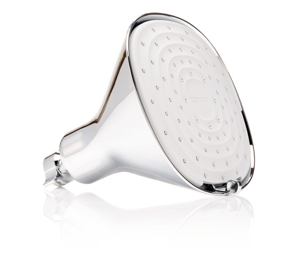 The 9 Best Filtered Showerheads, According to Experts - NewBeauty
