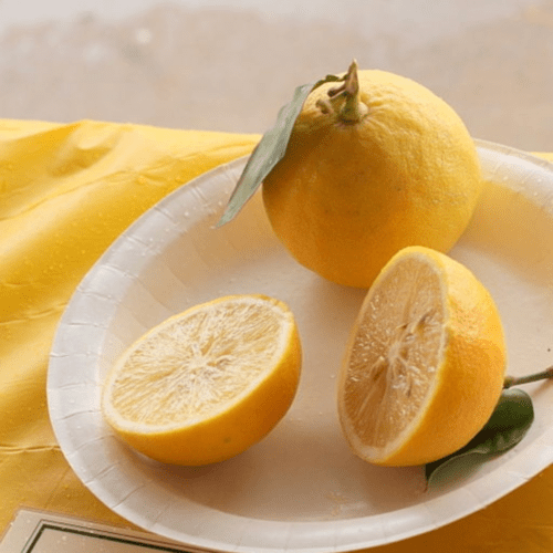Bergamot Scent Explained and Our Favorite Perfumes