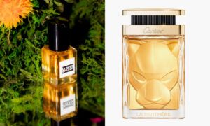 The Fascinating World of Animalic Fragrances, Explained